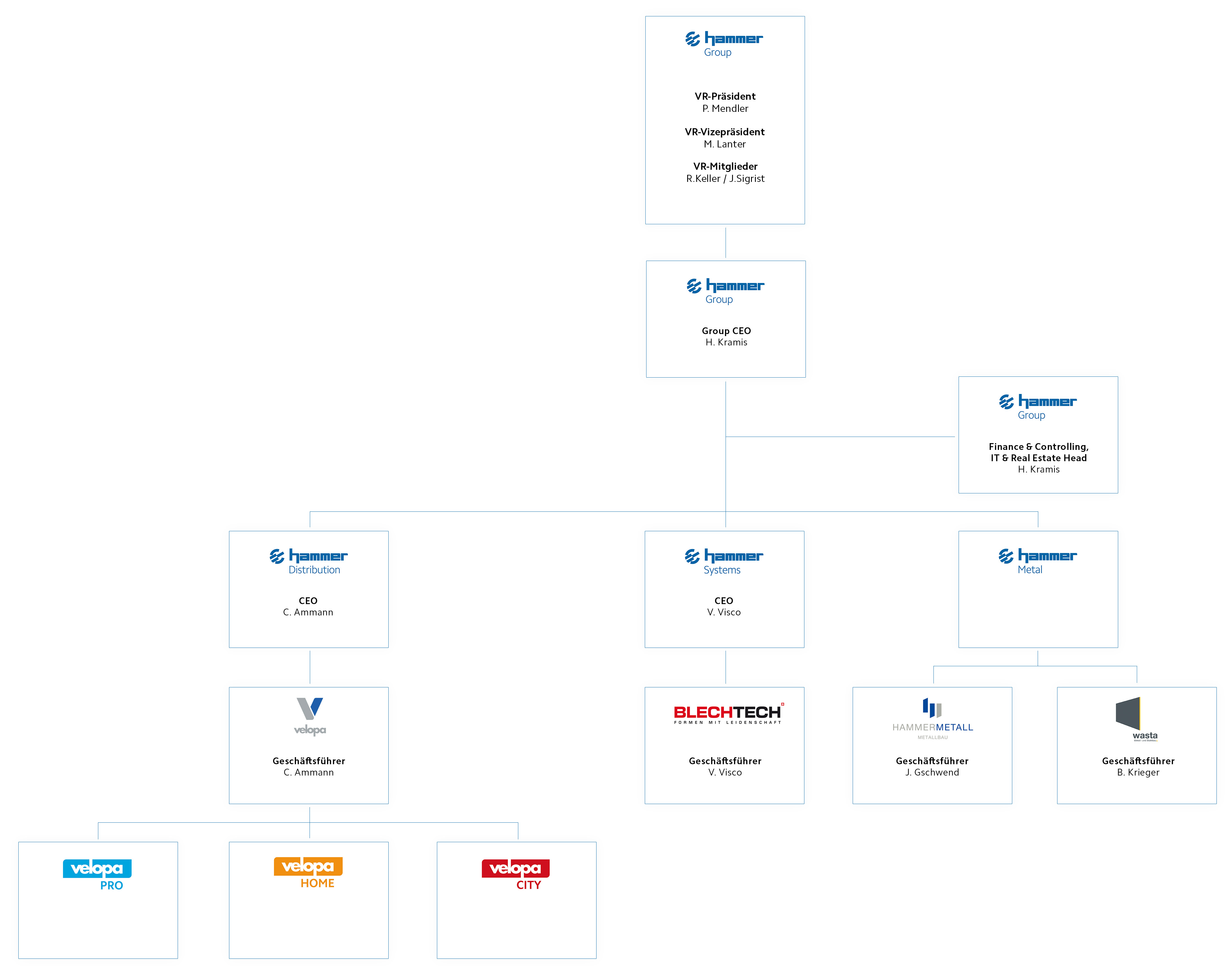 Organigramm – Hammer Group