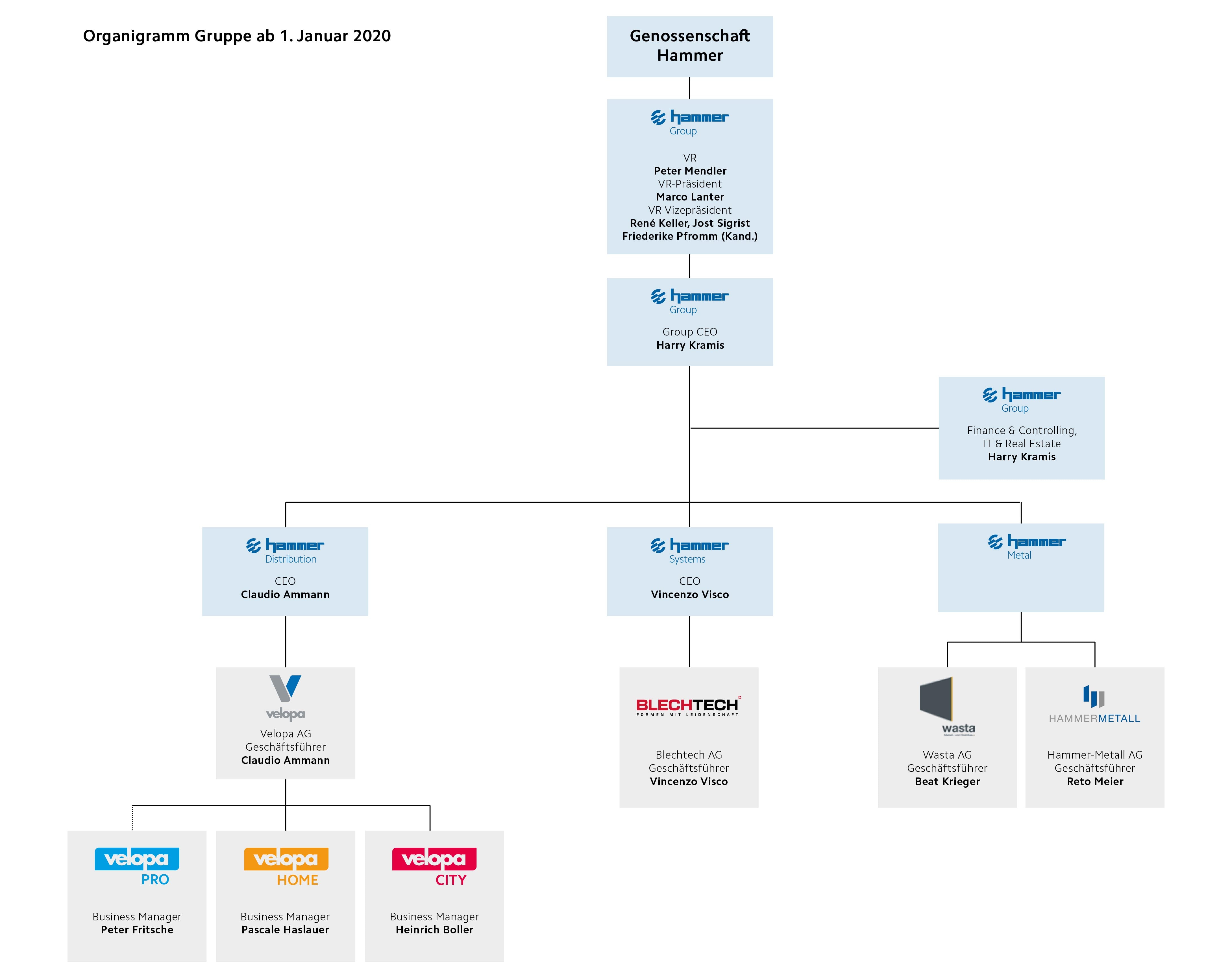Organigramm – Hammer Group