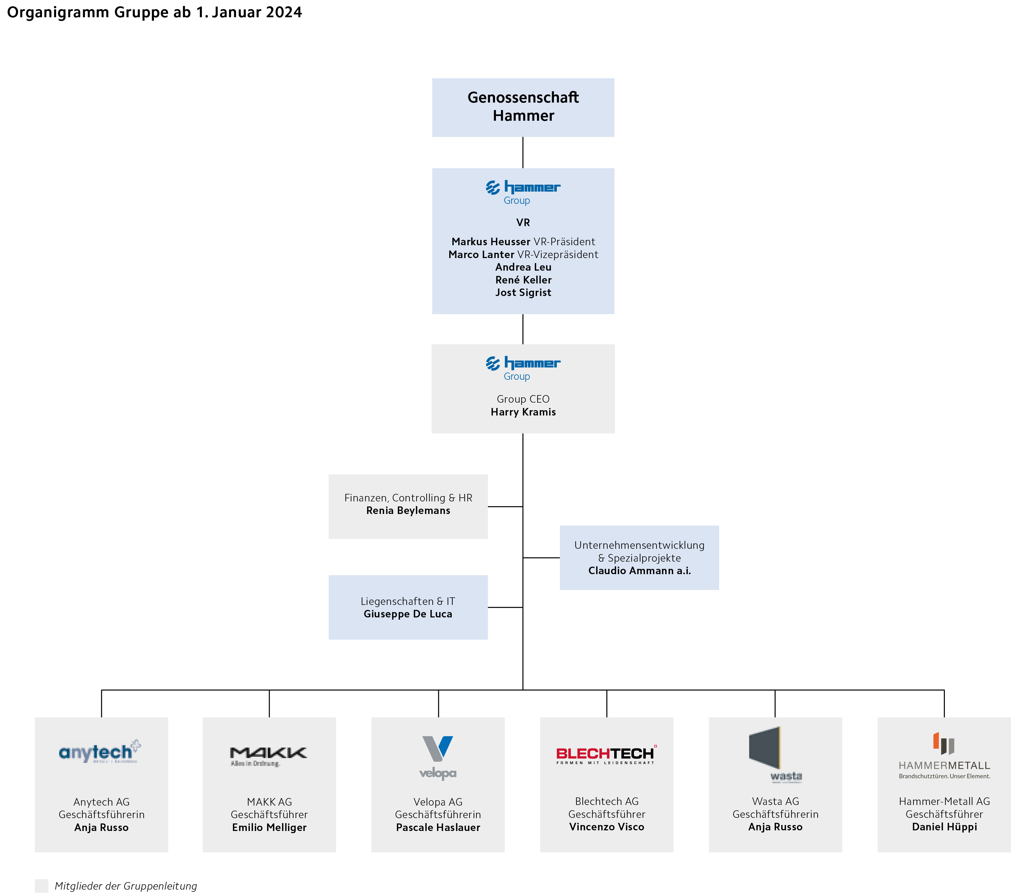 Organigramm | Hammer Group